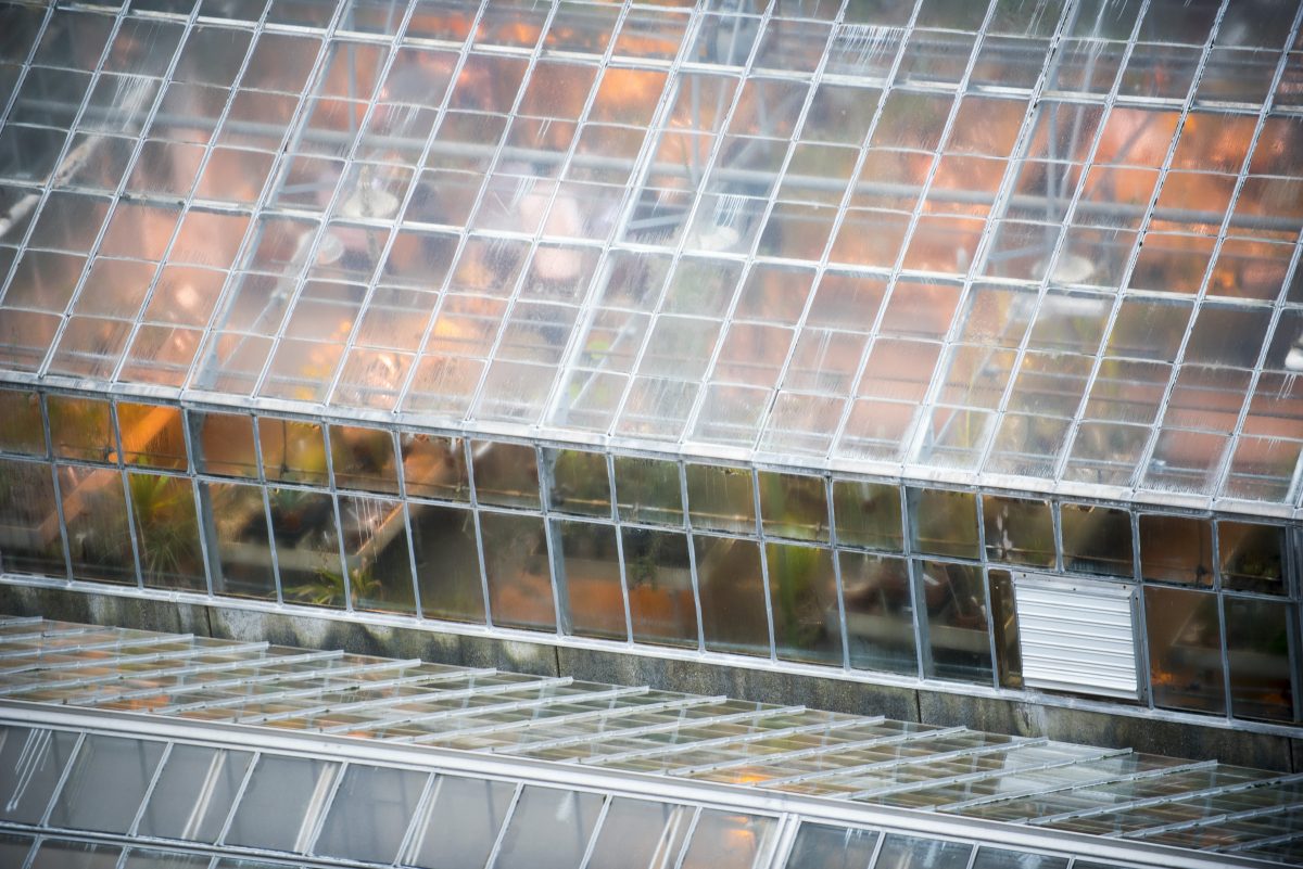 About | UConn Botanical Conservatory